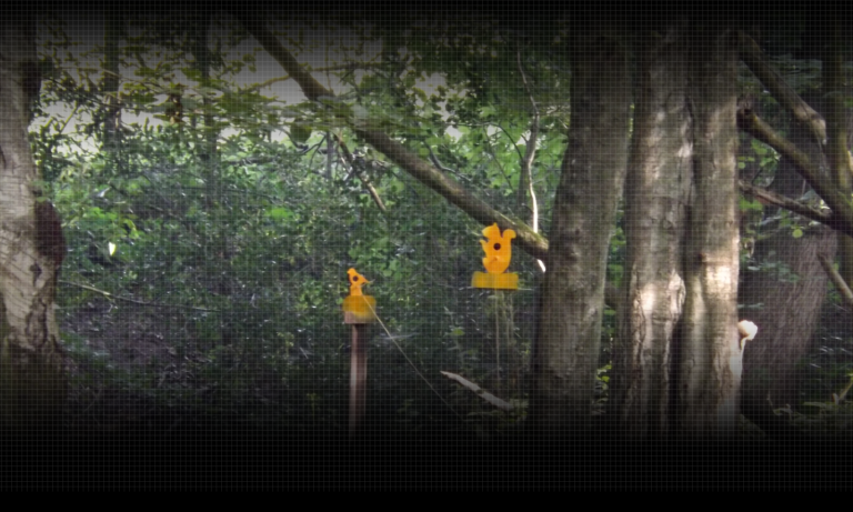 Airgun Shooting Club HFT Target Shooting East Sussex