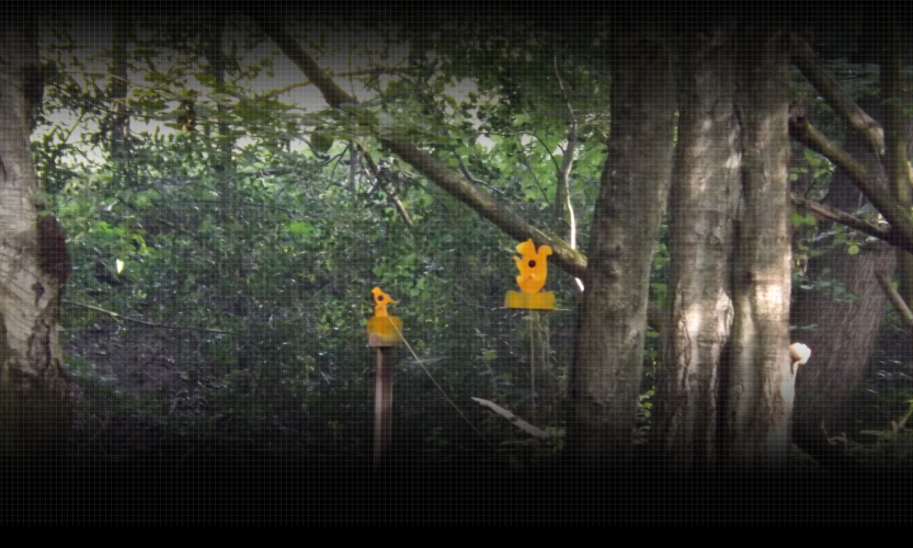 Airgun Shooting Club HFT Target Shooting East Sussex